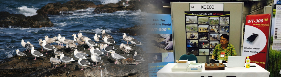 KoEco - Wild Tracker